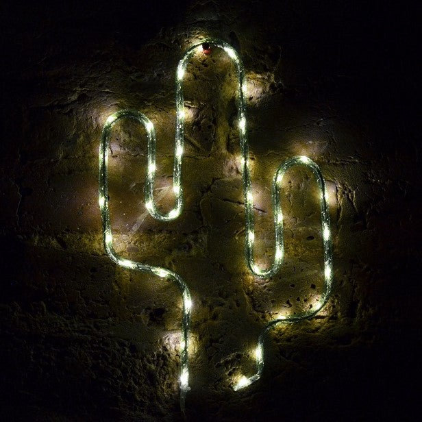 Cactus LED Wall Light | Locomocean Ltd